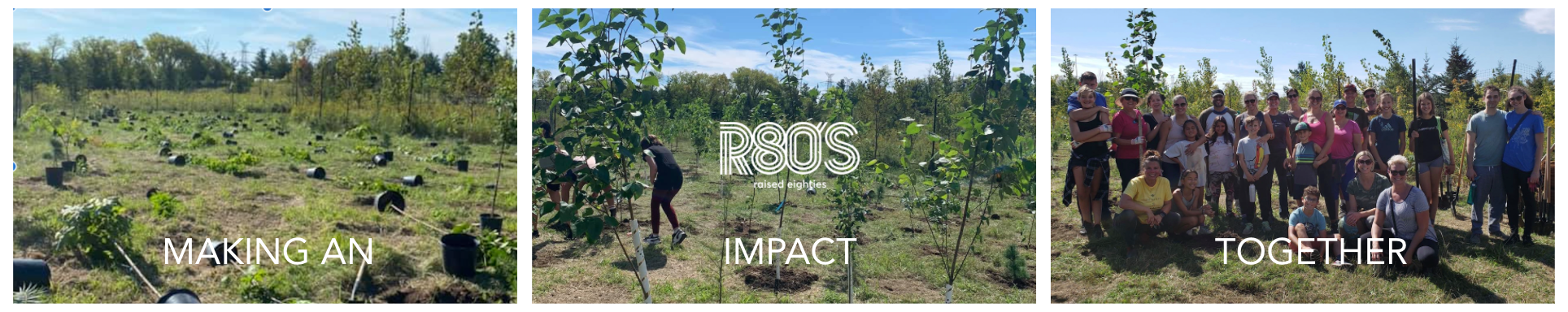 Creating Connection with Tree Planting this Spring! – Raised80s